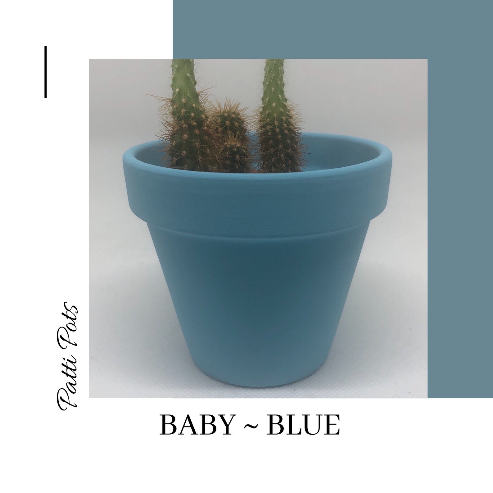 Individual Colour Hand Painted Terracotta Plant Pot - Etsy