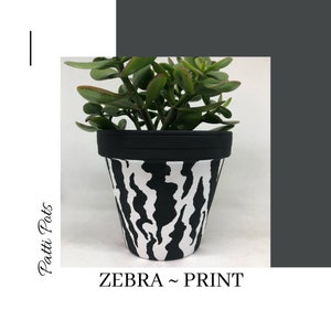 Zebra Print Hand Painted Terracotta Plant Pot - Etsy