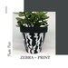 Zebra Print Hand Painted Terracotta Plant Pot - Etsy