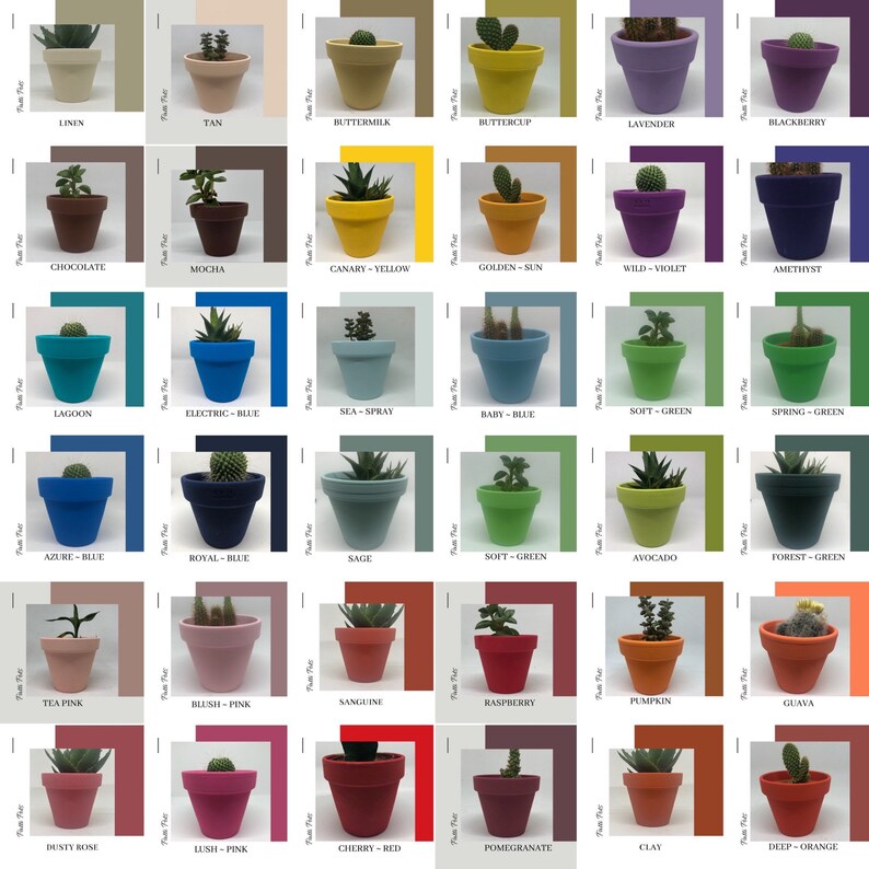 Individual Colour Hand Painted Terracotta Plant Pot - Etsy