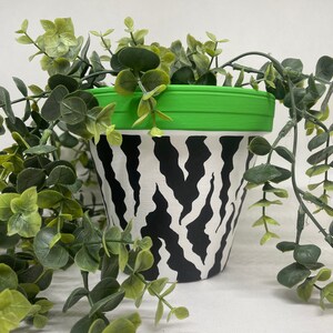 Zebra Print Hand Painted Terracotta Plant Pot - Etsy