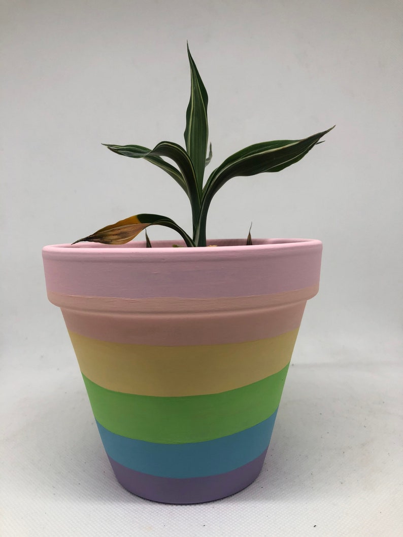Rainbow Hand Painted Plant Pot - Etsy UK