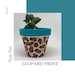 Leopard Print Hand Painted Terracotta Plant Pot - Etsy