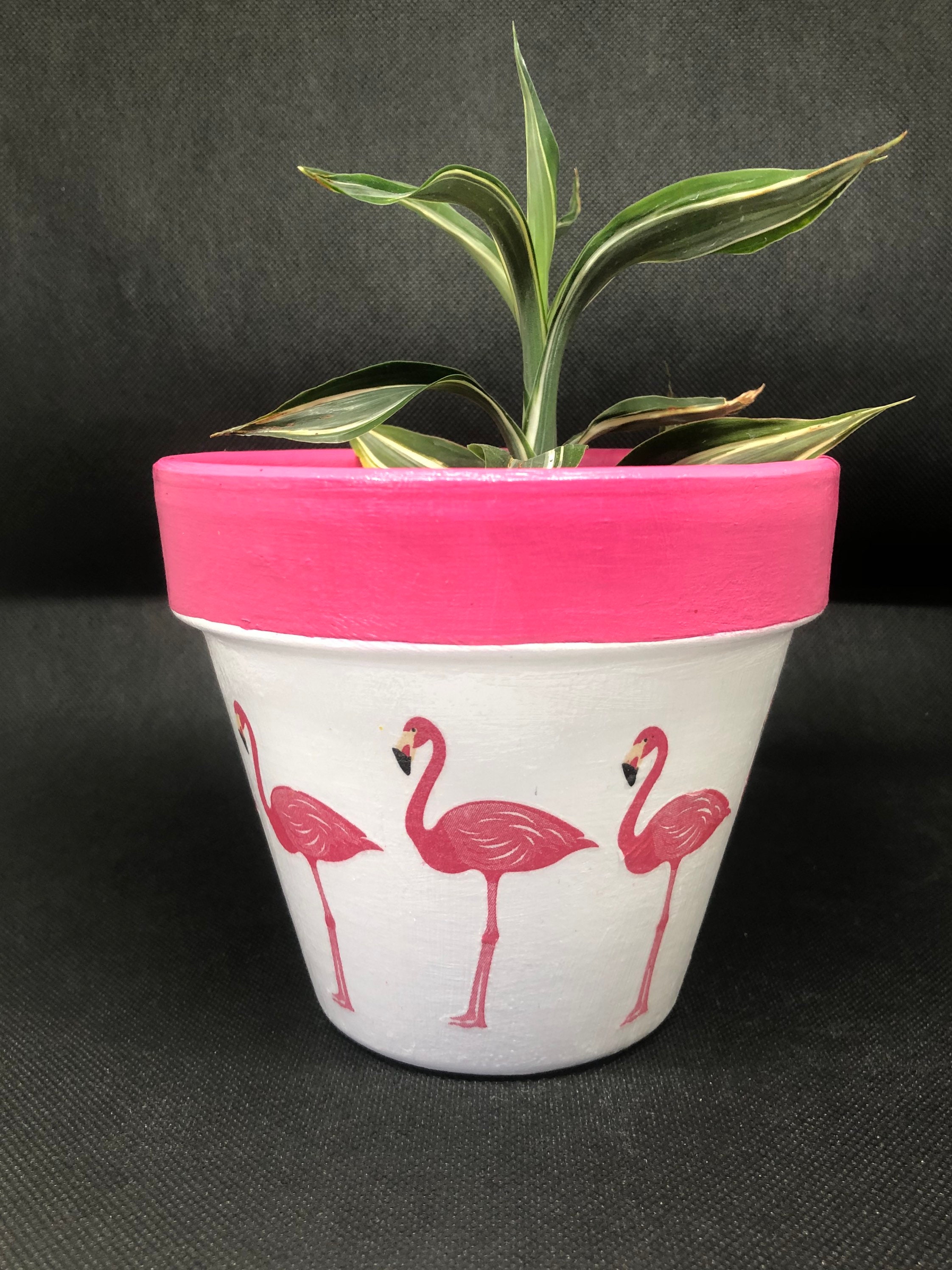 Flamingo Decoupage Hand Painted Terracotta Plant Pot - Etsy