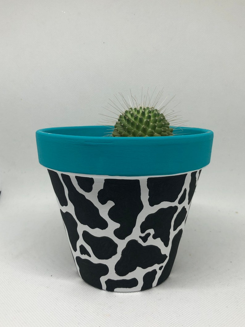 Cow Print Hand Painted Terracotta Plant Pot - Etsy