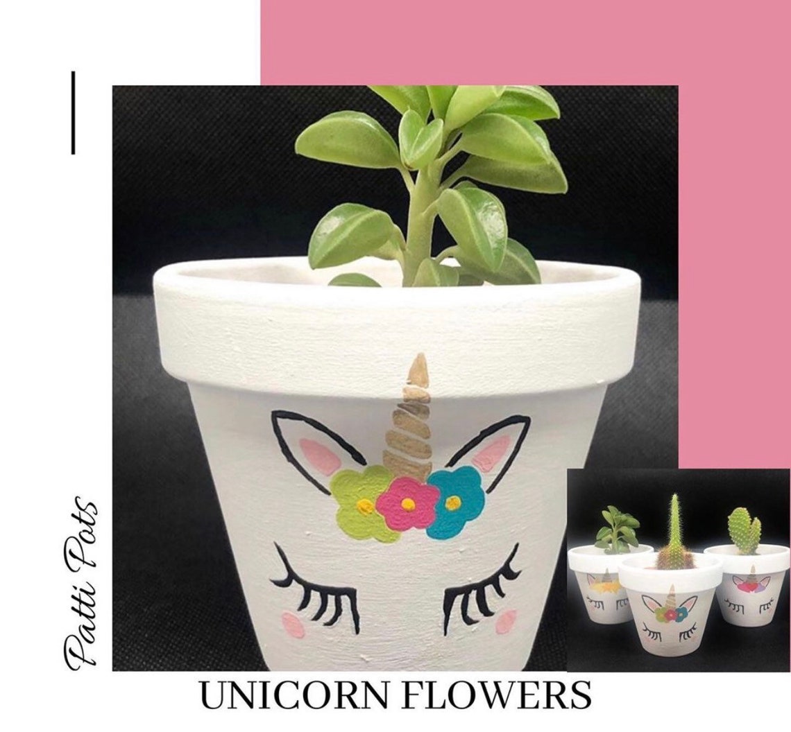 Unicorn Hand Painted Terracotta Plant Pot - Etsy UK