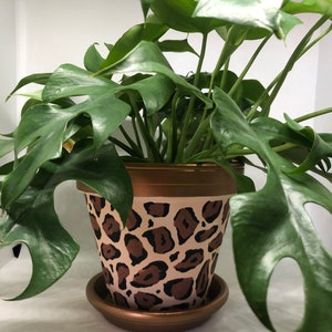 Leopard Print Hand Painted Terracotta Plant Pot - Etsy