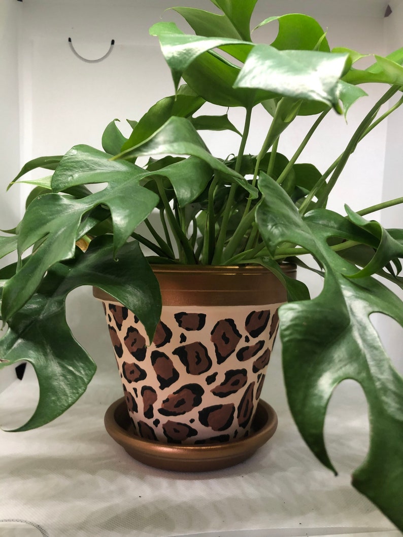 Leopard Print Hand Painted Terracotta Plant Pot - Etsy