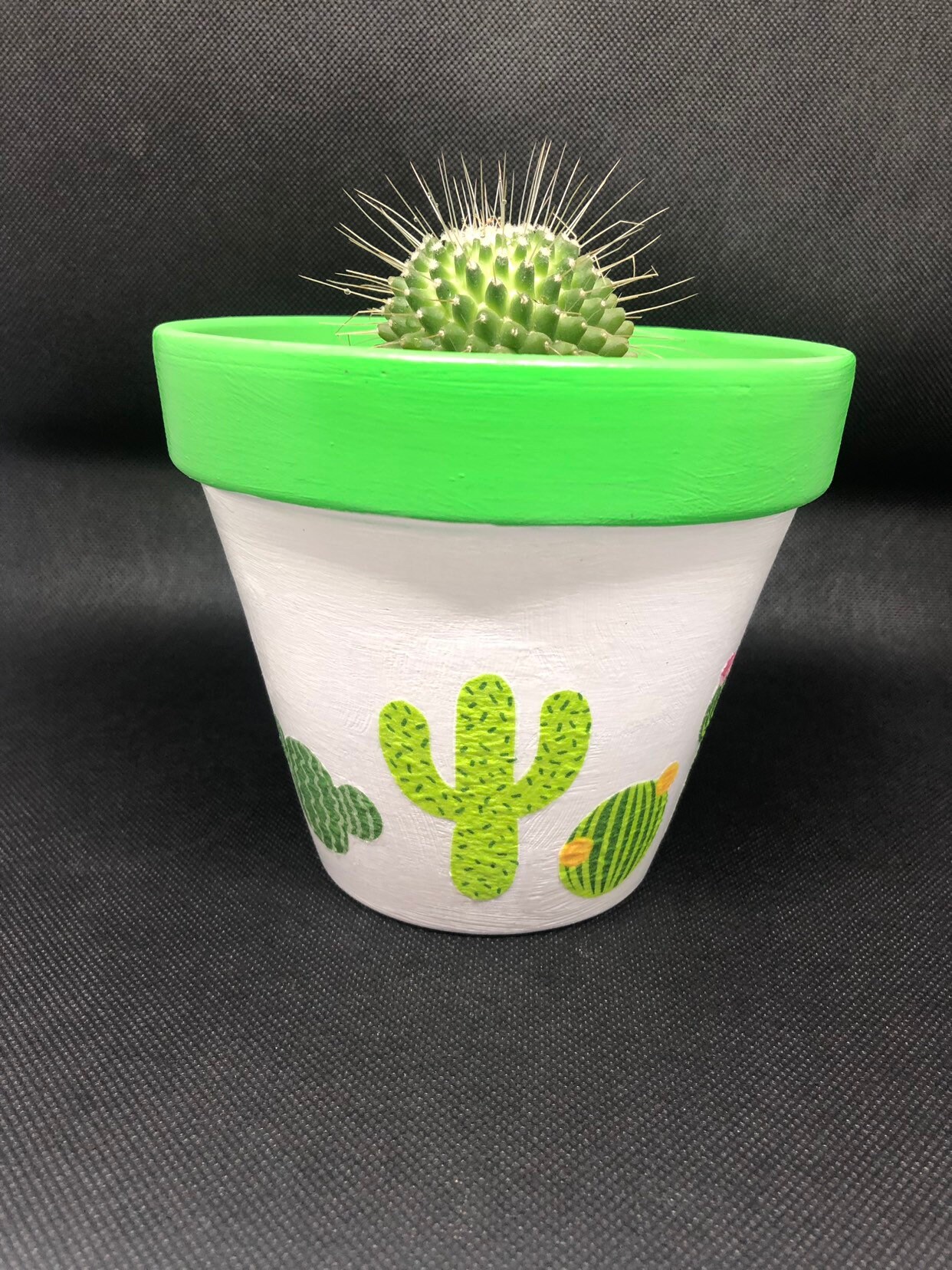 Cactus Decoupage Hand Painted Terracotta Plant Pot - Etsy UK