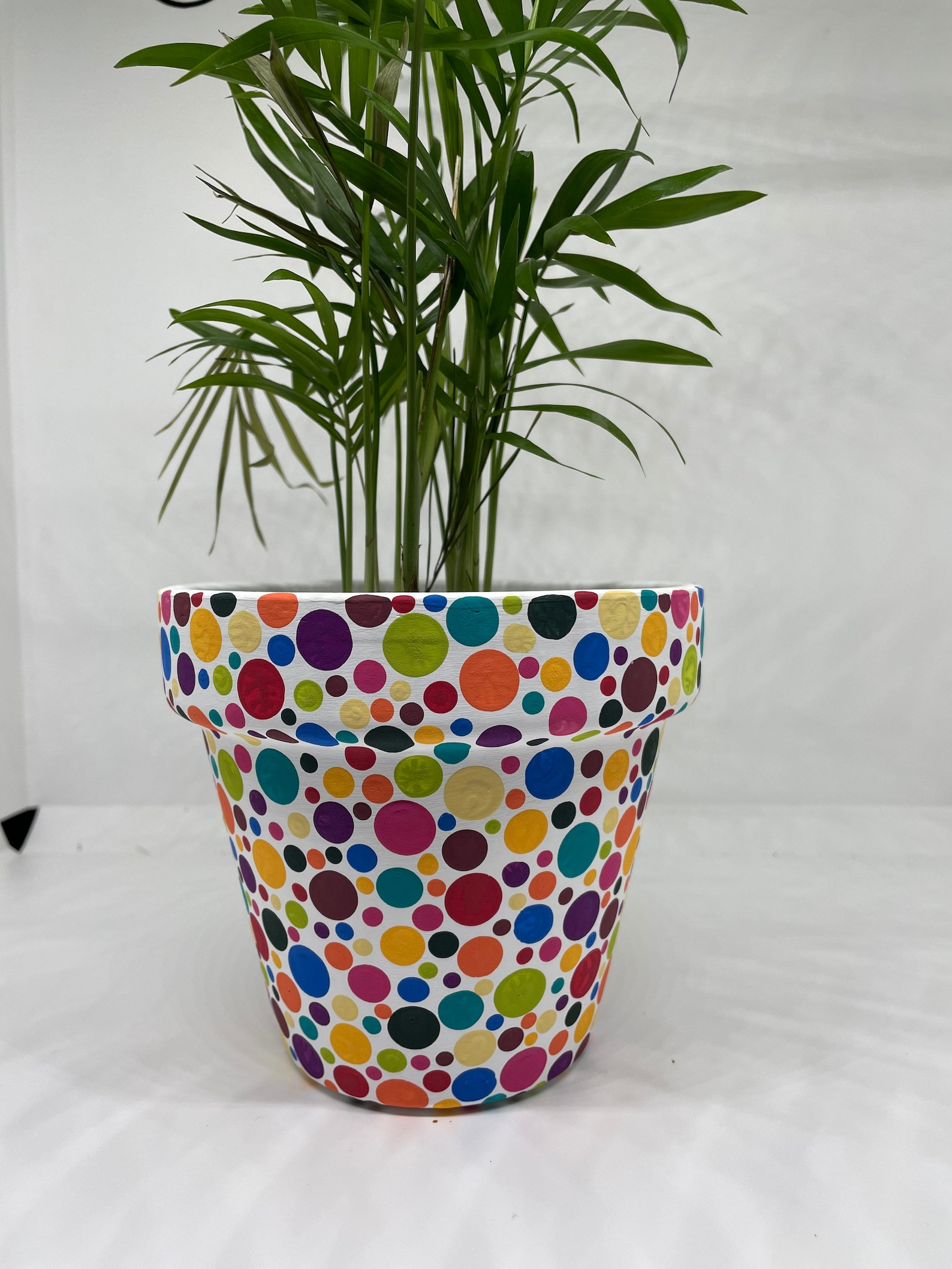 Spotty Hand Painted Plant Pot - Etsy