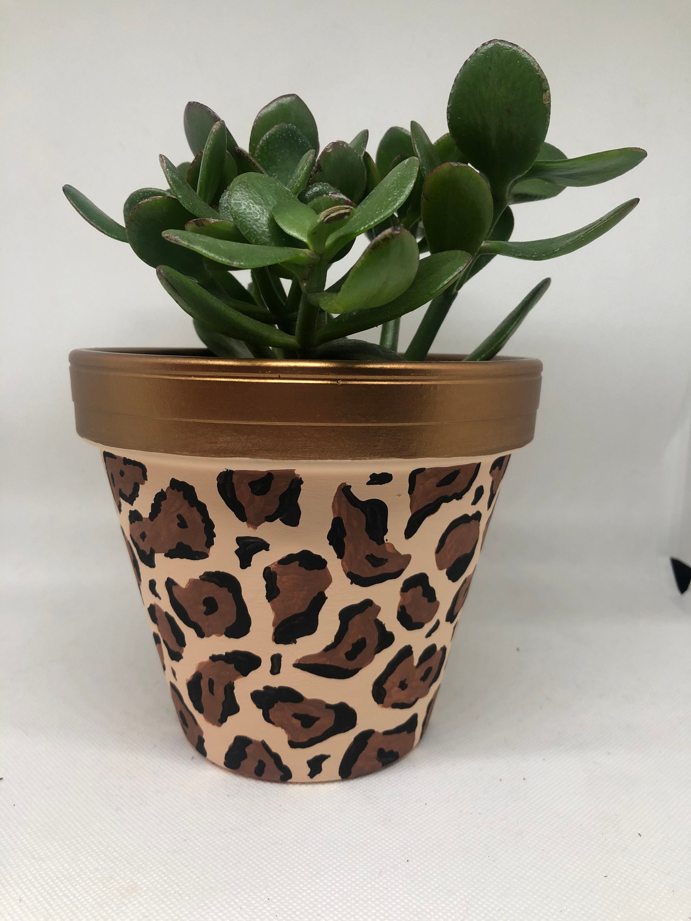 Leopard Print Hand Painted Terracotta Plant Pot | Etsy