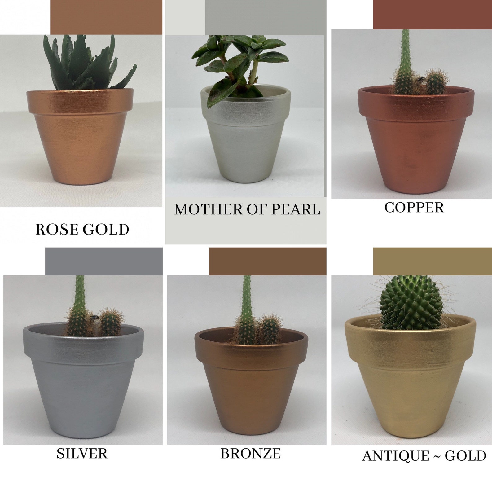 Individual Colour Hand Painted Terracotta Plant Pot - Etsy