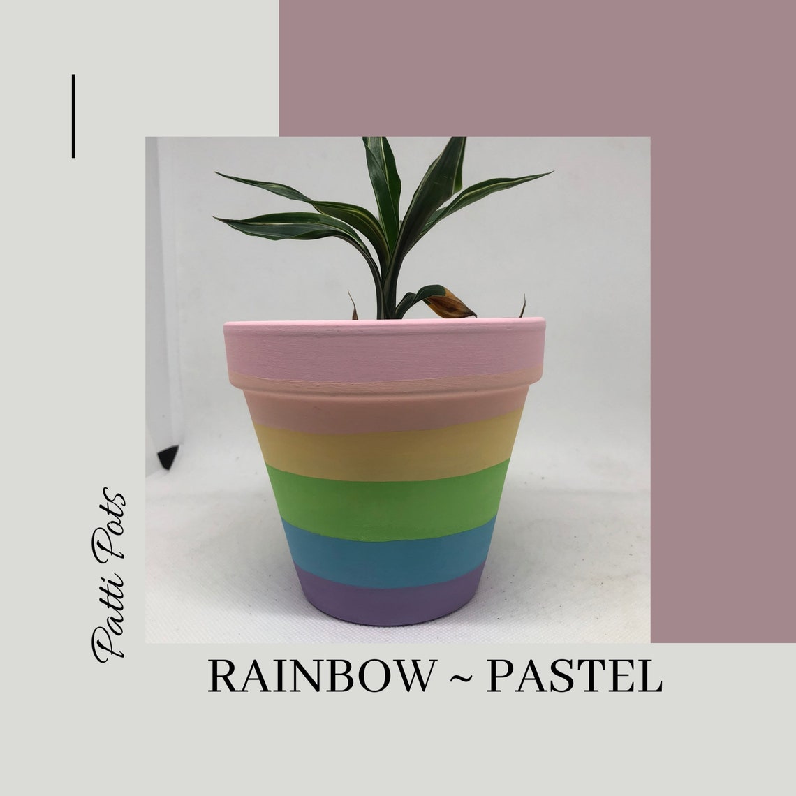 Rainbow Hand Painted Plant Pot - Etsy