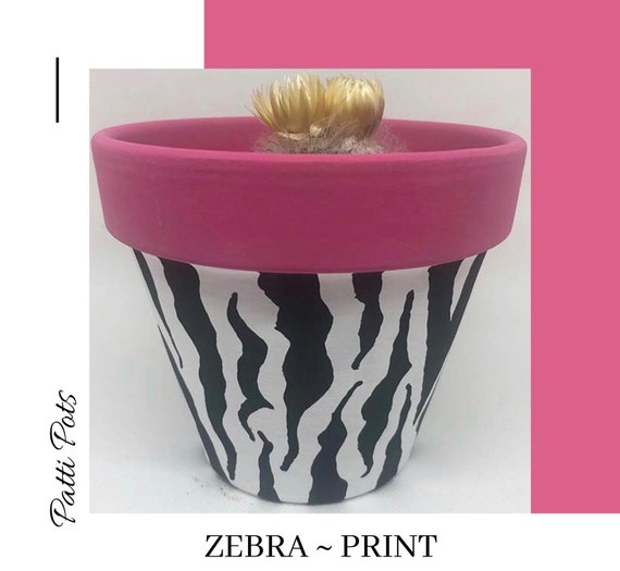 Zebra Print Hand Painted Terracotta Plant Pot | Etsy