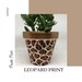 Leopard Print Hand Painted Terracotta Plant Pot - Etsy
