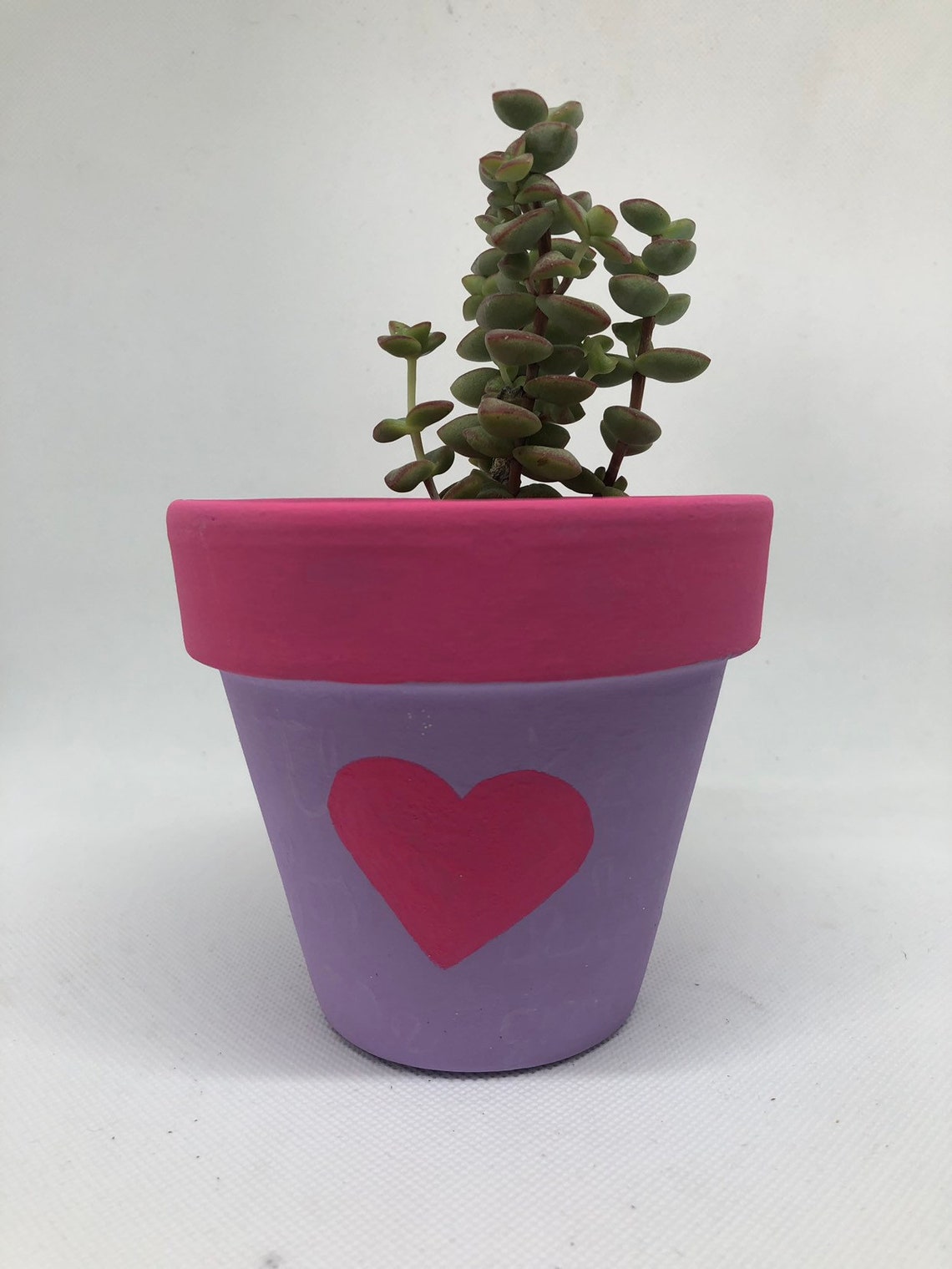 Love Heart 2 Colour Hand Painted Terracotta Plant Pots - Etsy UK