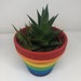 Rainbow Hand Painted Plant Pot - Etsy UK