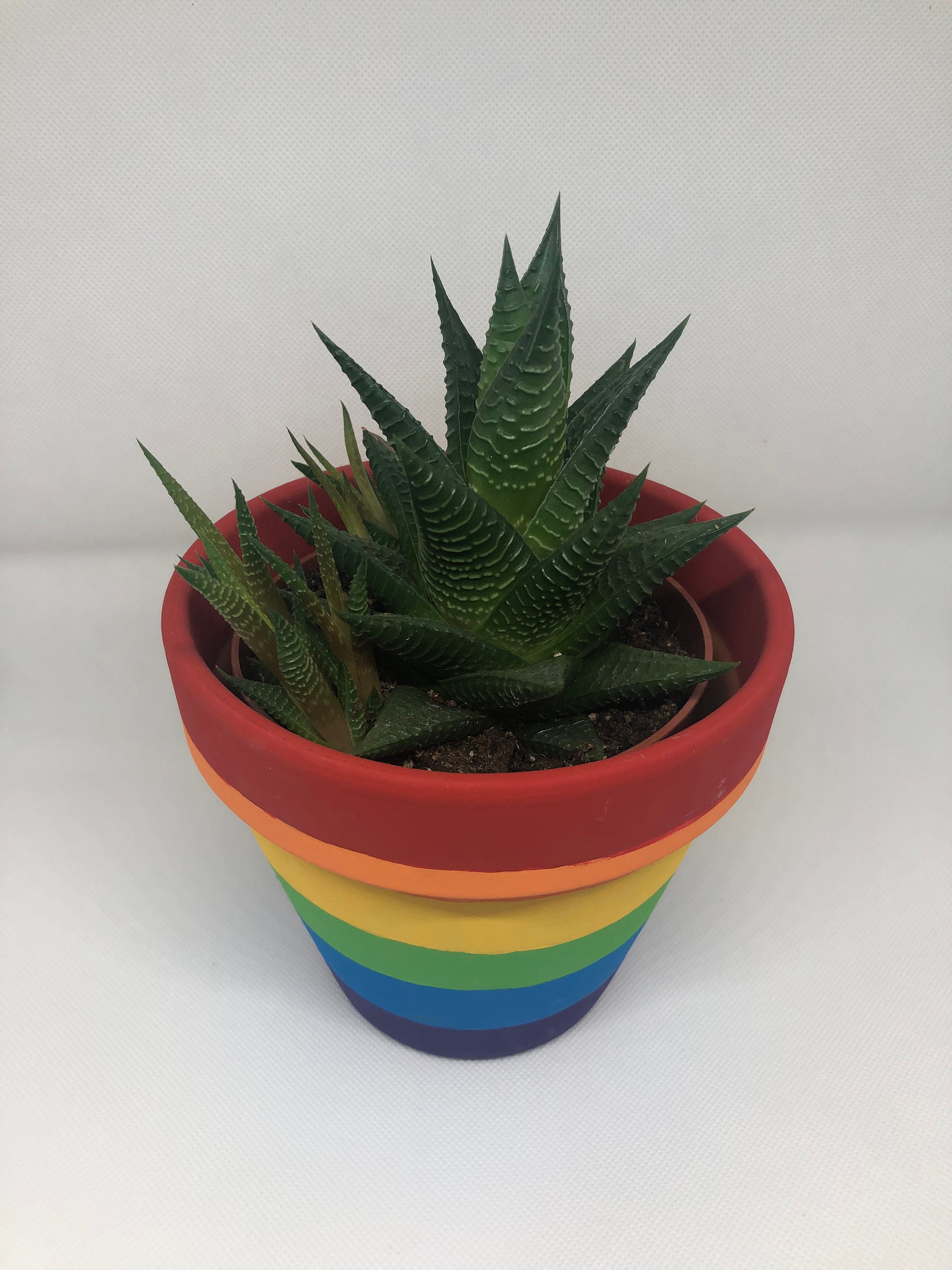 Rainbow Hand Painted Plant Pot - Etsy UK
