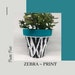 Zebra Print Hand Painted Terracotta Plant Pot - Etsy