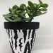 Zebra Print Hand Painted Terracotta Plant Pot - Etsy
