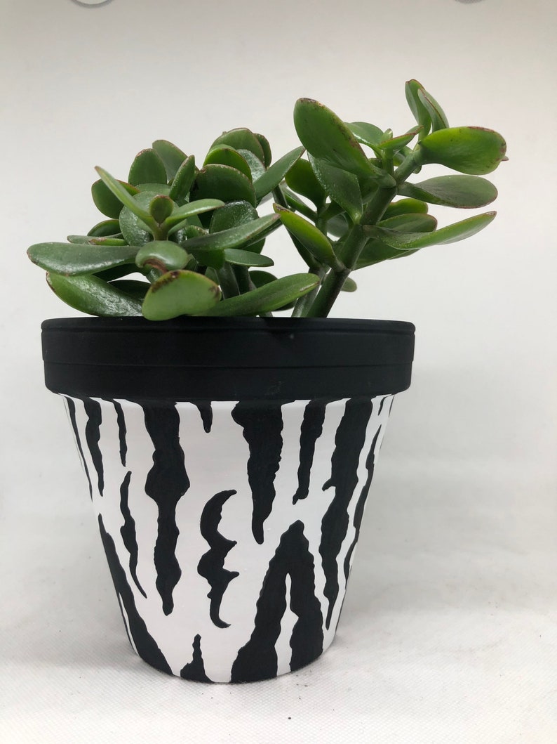 Zebra Print Hand Painted Terracotta Plant Pot | Etsy