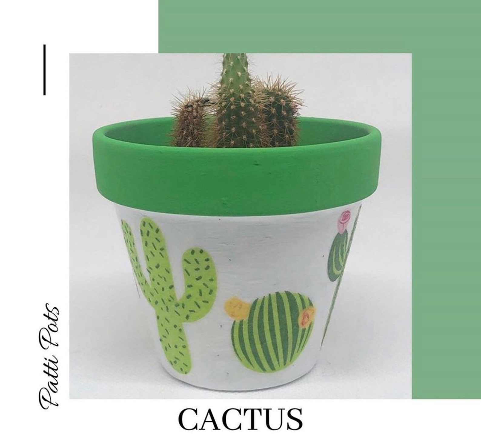 Cactus Decoupage Hand Painted Terracotta Plant Pot | Etsy