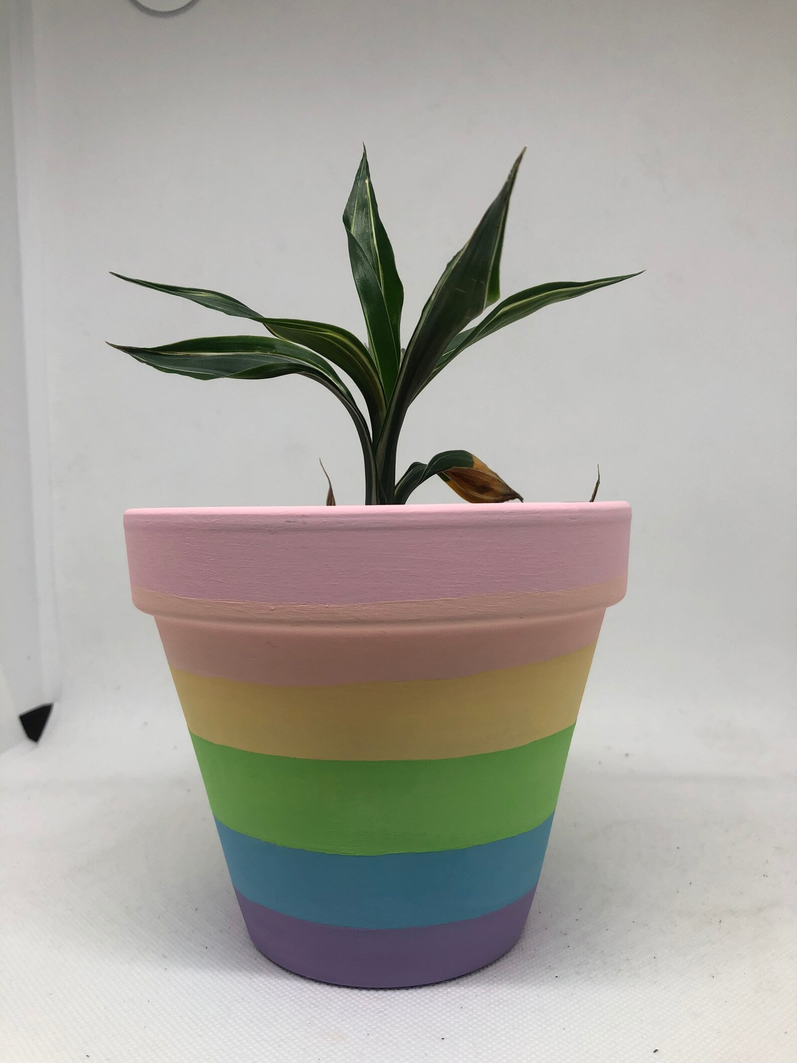 Rainbow Hand Painted Plant Pot - Etsy UK