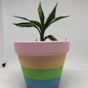 Rainbow Hand Painted Plant Pot - Etsy UK