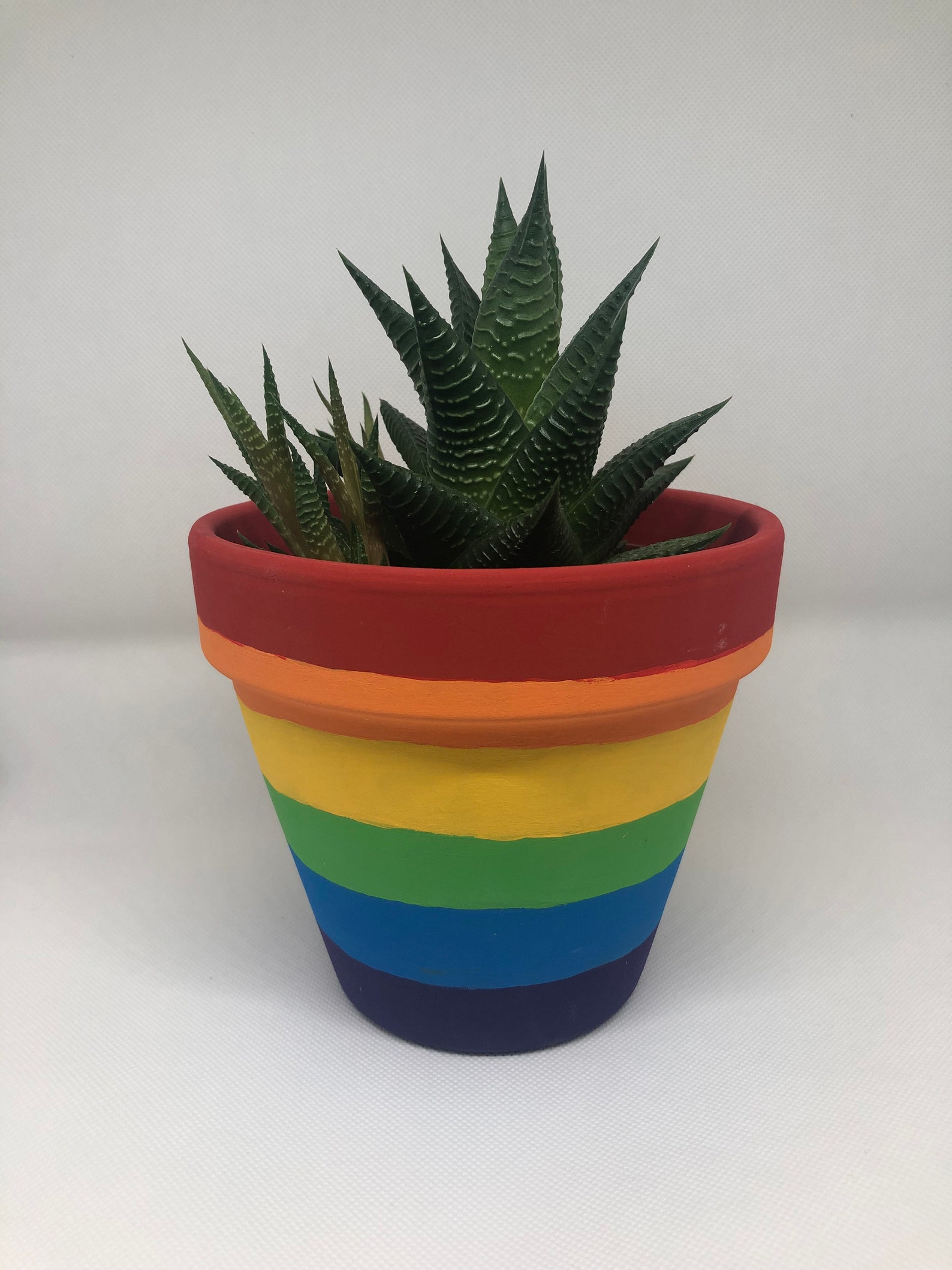 Rainbow Hand Painted Plant Pot - Etsy
