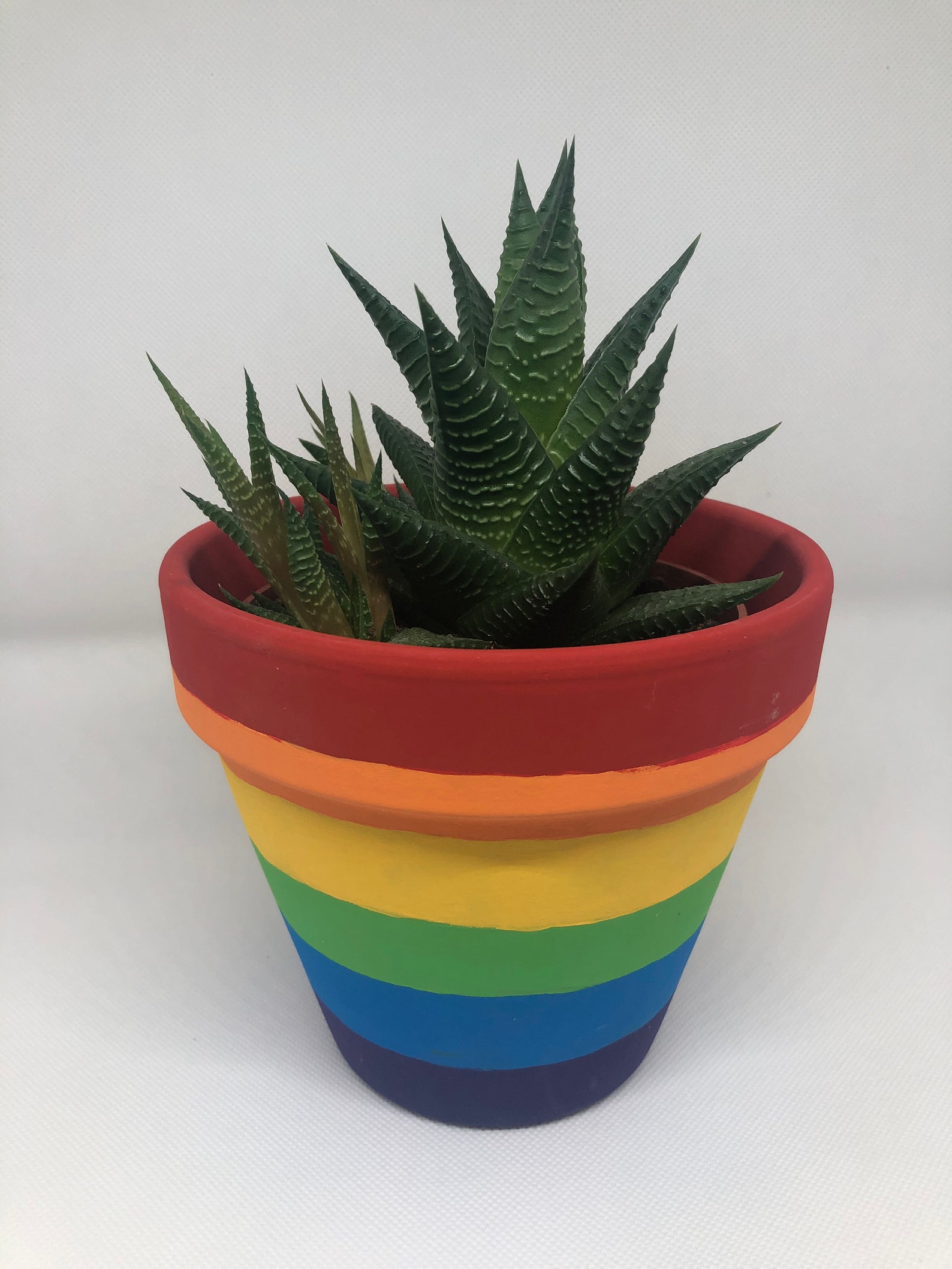 Rainbow Hand Painted Plant Pot - Etsy UK