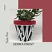Zebra Print Hand Painted Terracotta Plant Pot - Etsy