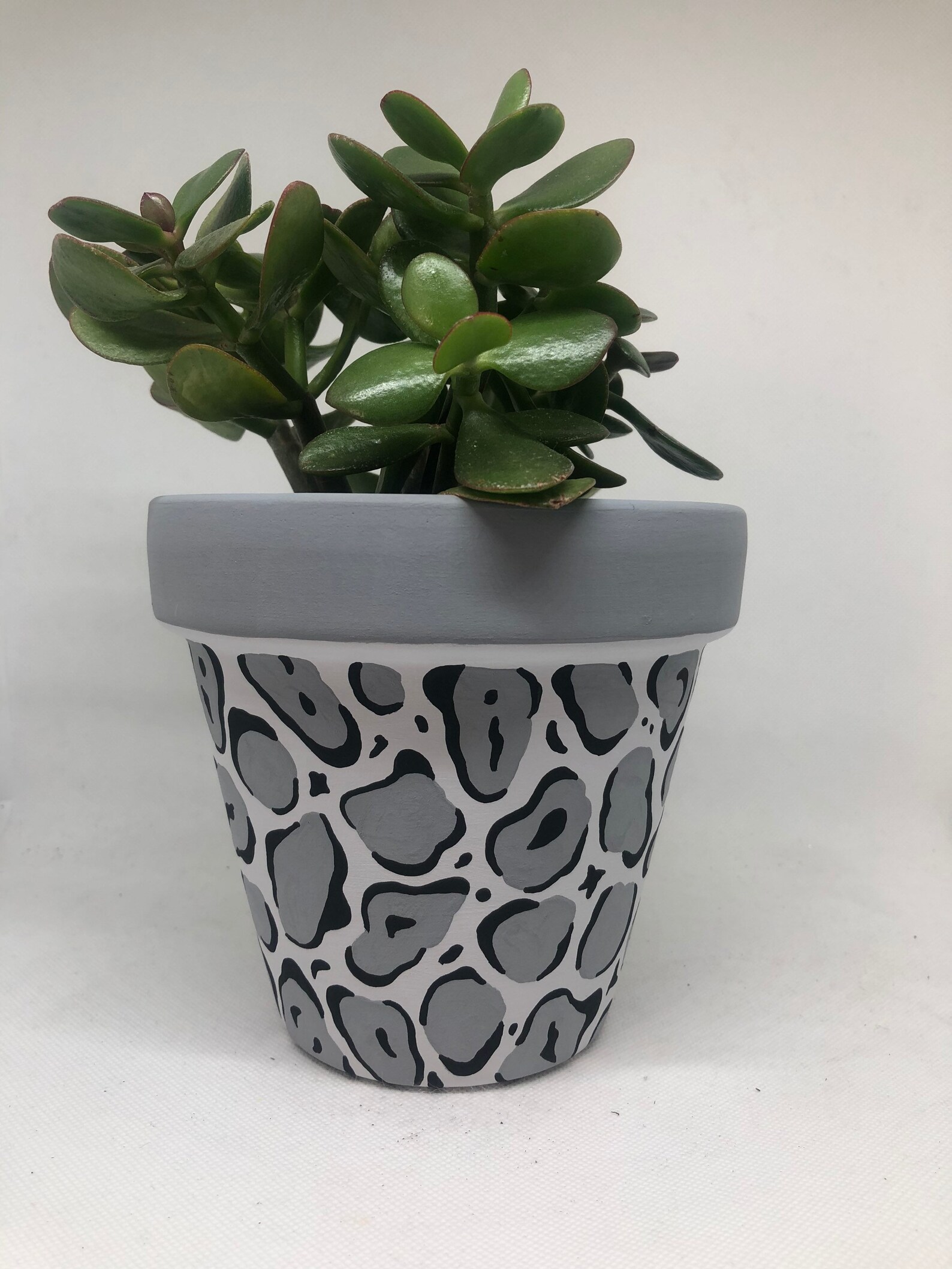 Grey Leopard Print Hand Painted Terracotta Plant Pot - Etsy UK