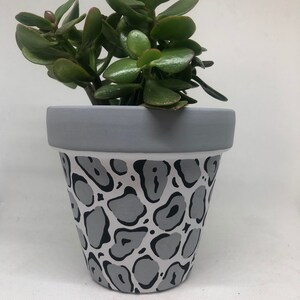 Grey Leopard Print Hand Painted Terracotta Plant Pot - Etsy UK
