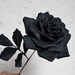 Black Paper Rose Paper Flowers Eco Flower Halloween - Etsy