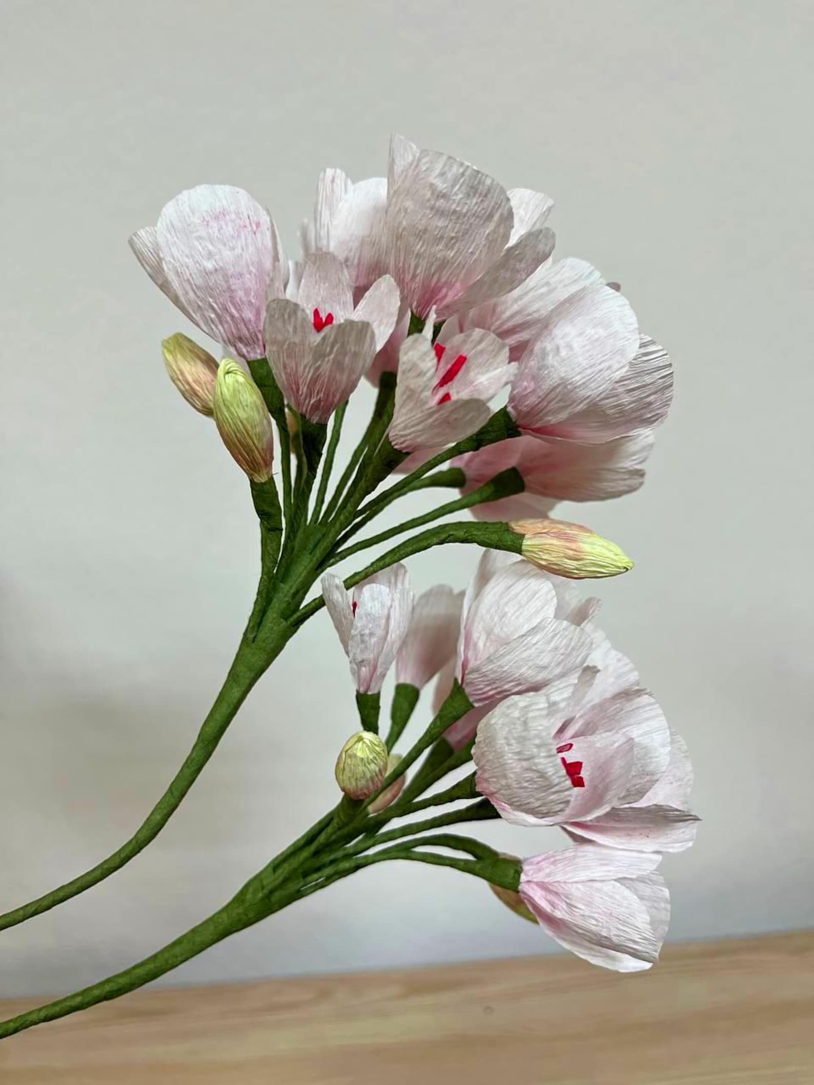 White Pink Paper Geranium, Paper Plant Sculpture, Gift for Gardener ...