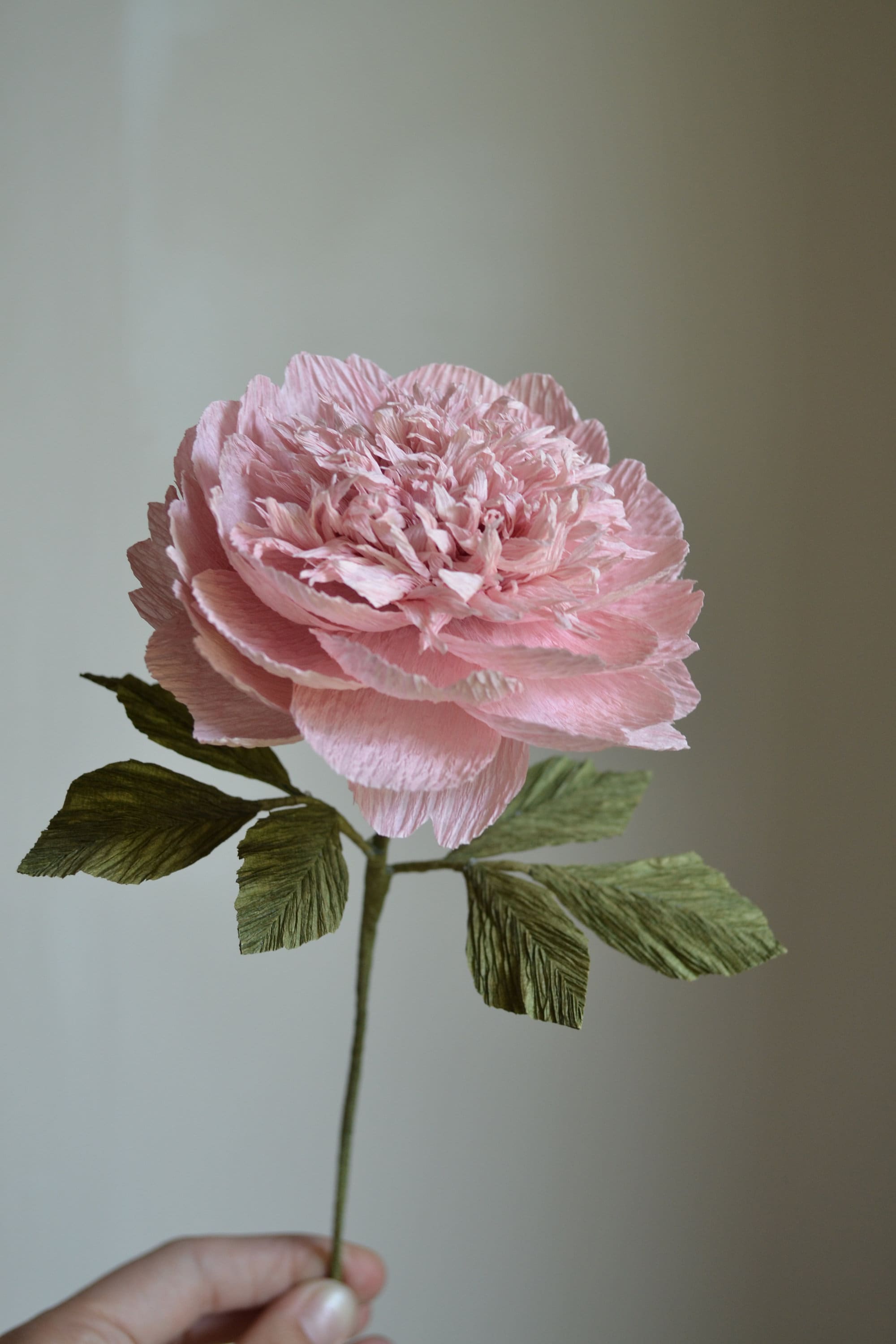 Pink Paper Peony, Crepe Peony, Dusty Rose,paper Flowers, Fake Bridal ...