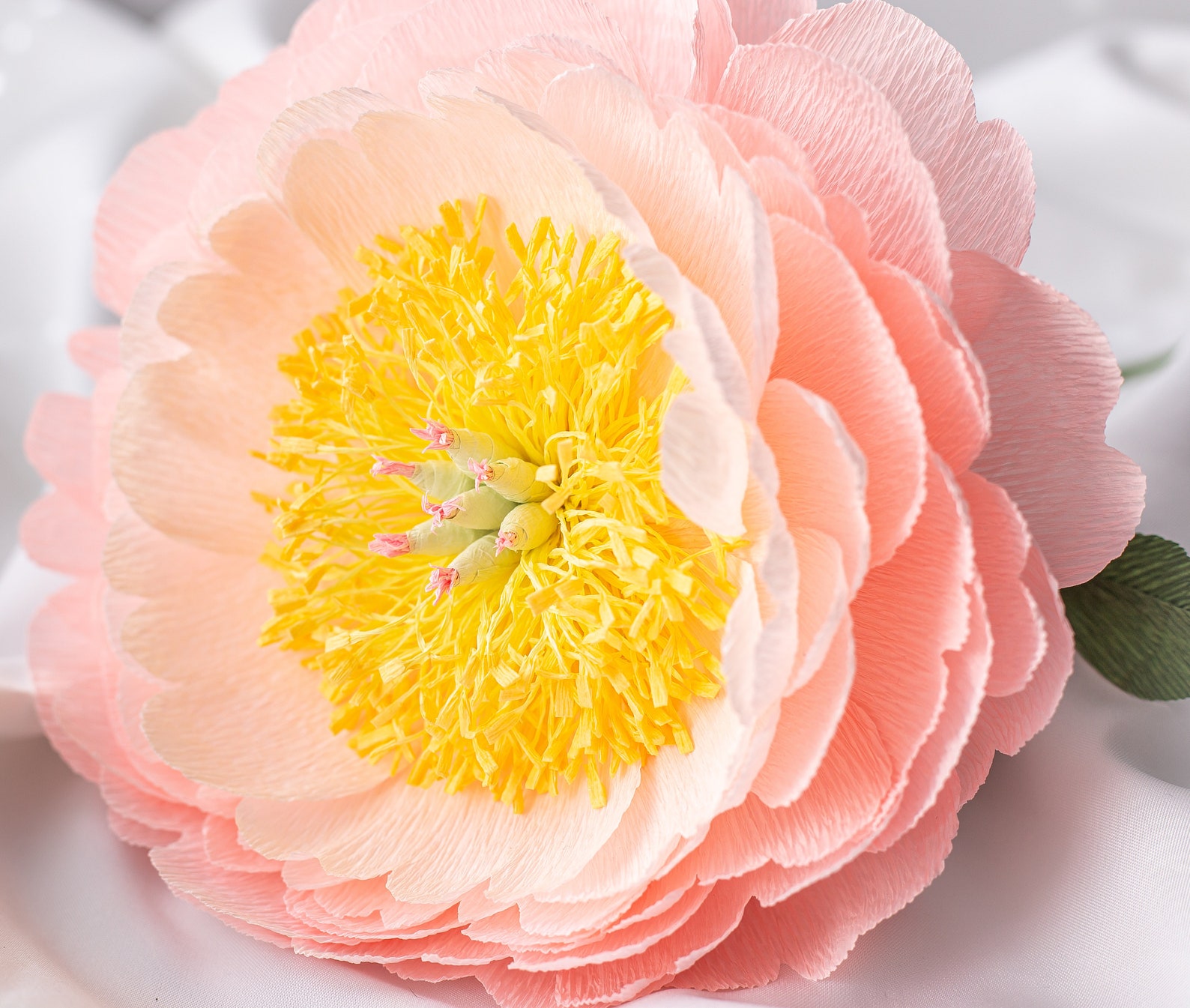Large Peony Paper Flower Pink Color Wedding Party Birthday - Etsy