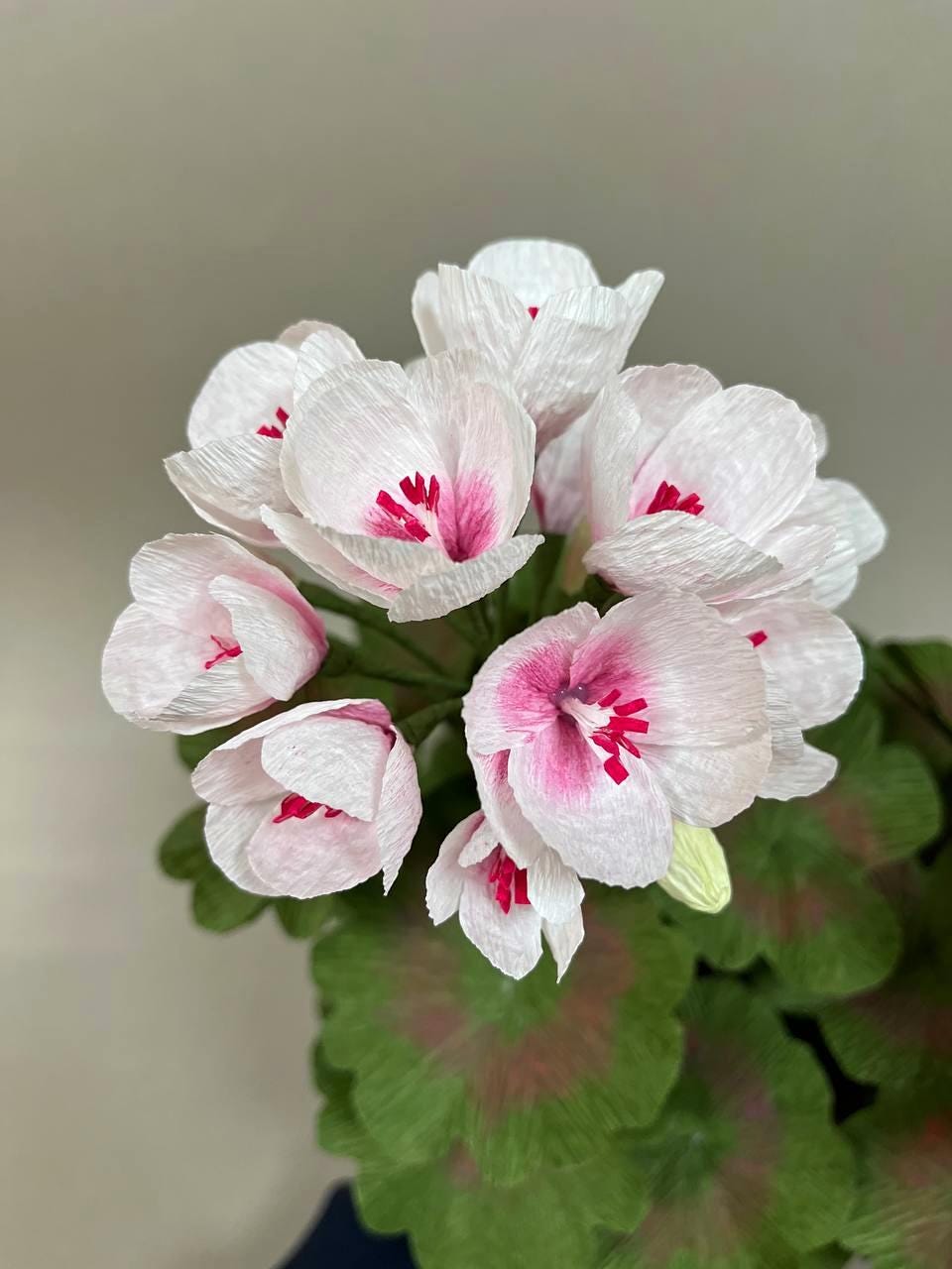 White Pink Paper Geranium, Paper Plant Sculpture, Gift for Gardener ...