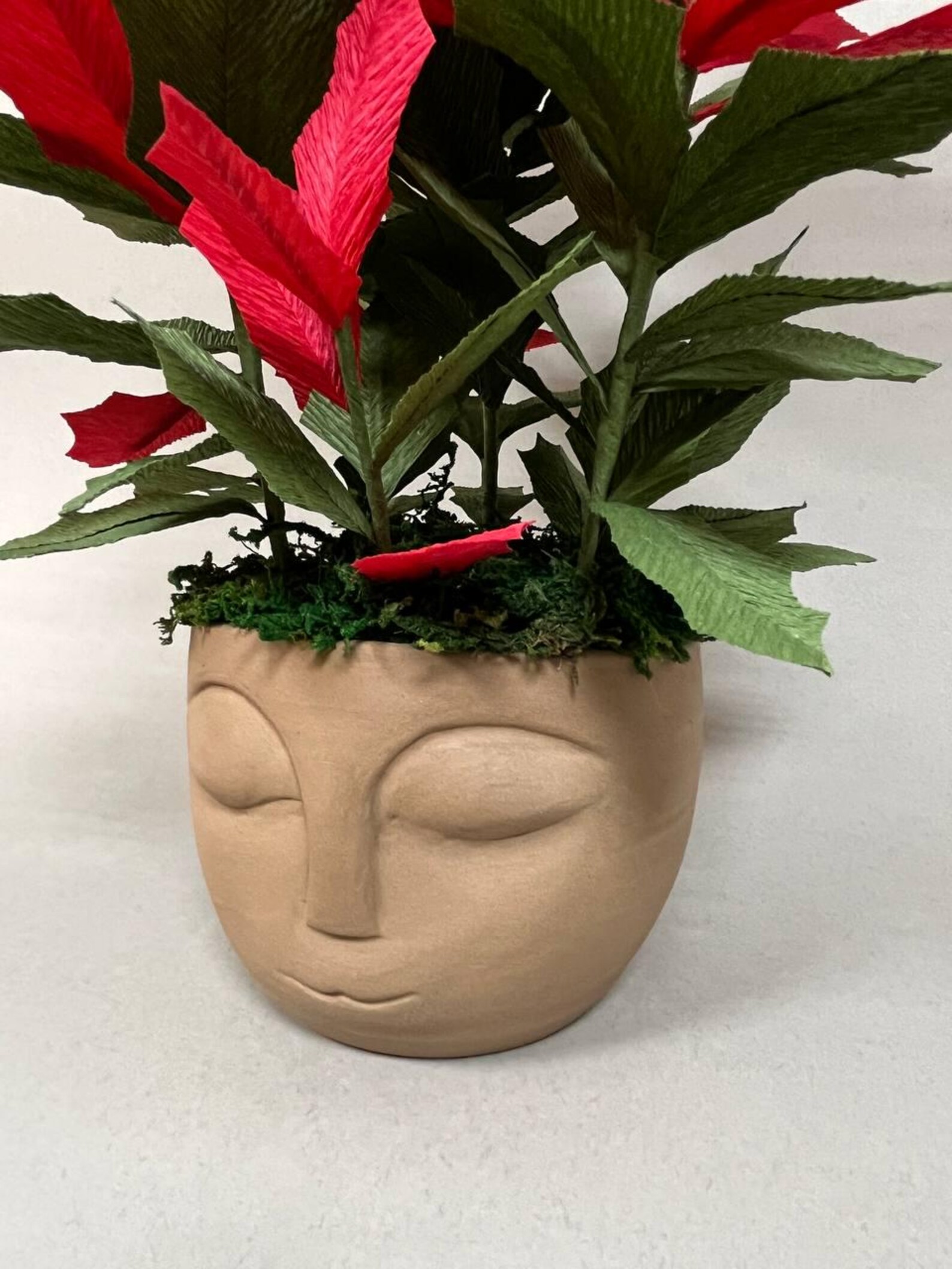 Red Poinsettia in Pot Christmas Flowers Farmhouse Home and Living Decor ...