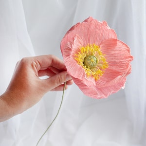 Video Tutorial California Poppy From Corrugated Paper Downloadable ...