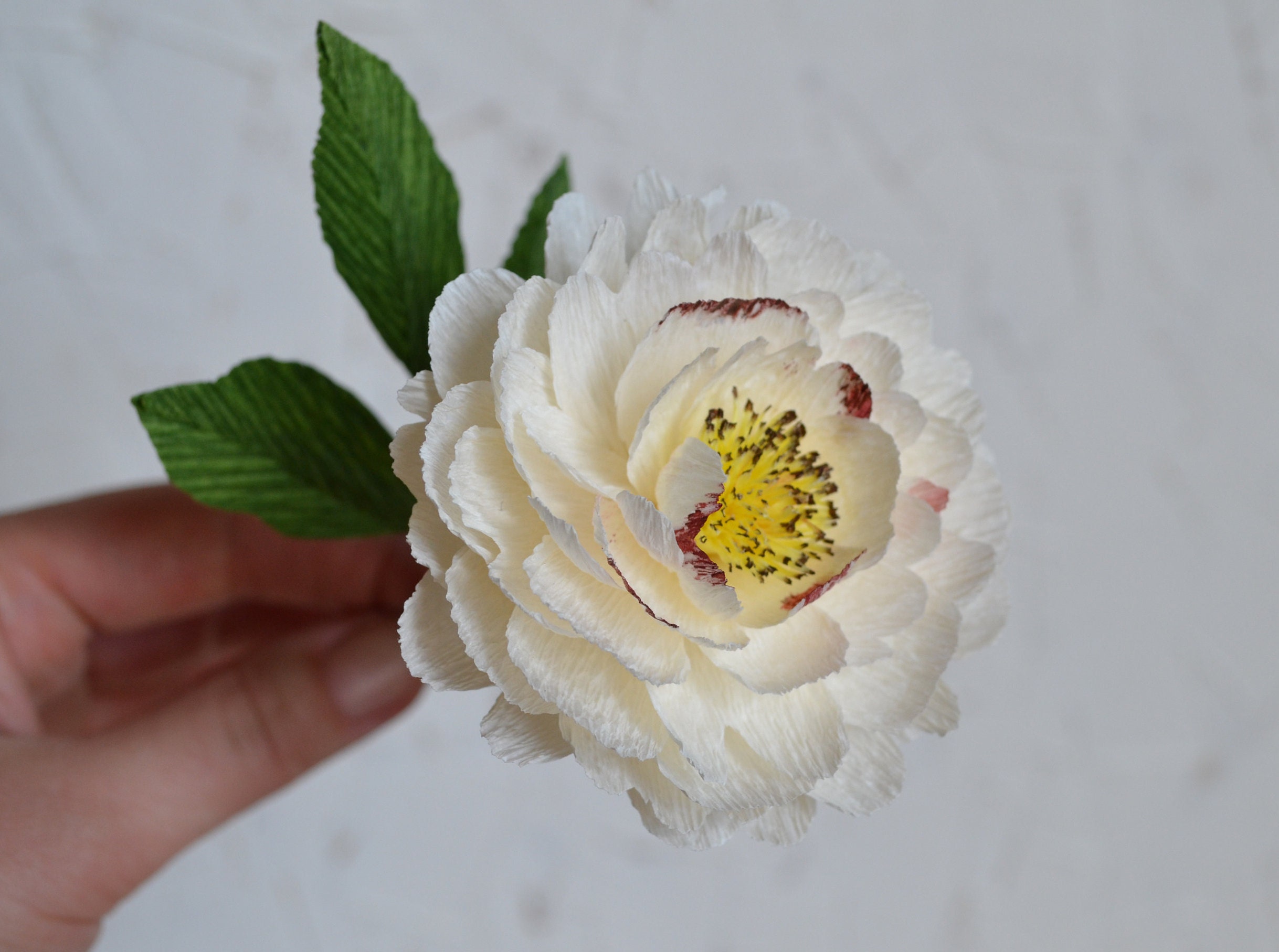 Small White Paper Peonies, Crepe Peony, Paper Peonies Anniversary, Fake ...