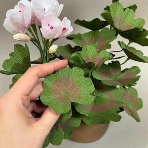 White Pink Paper Geranium, Paper Plant Sculpture, Gift for Gardener ...
