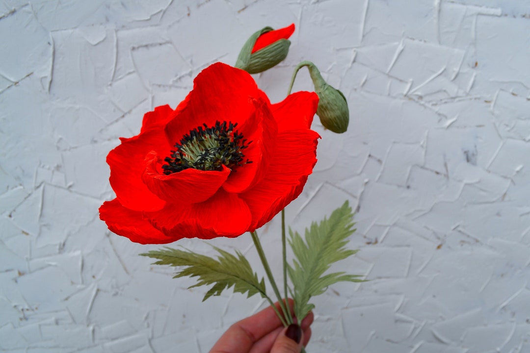 Red Crepe Paper Poppy, Bright Paper Flower, Unique Flower, 1st ...
