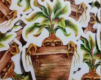 Mandrake Root Label - Etsy