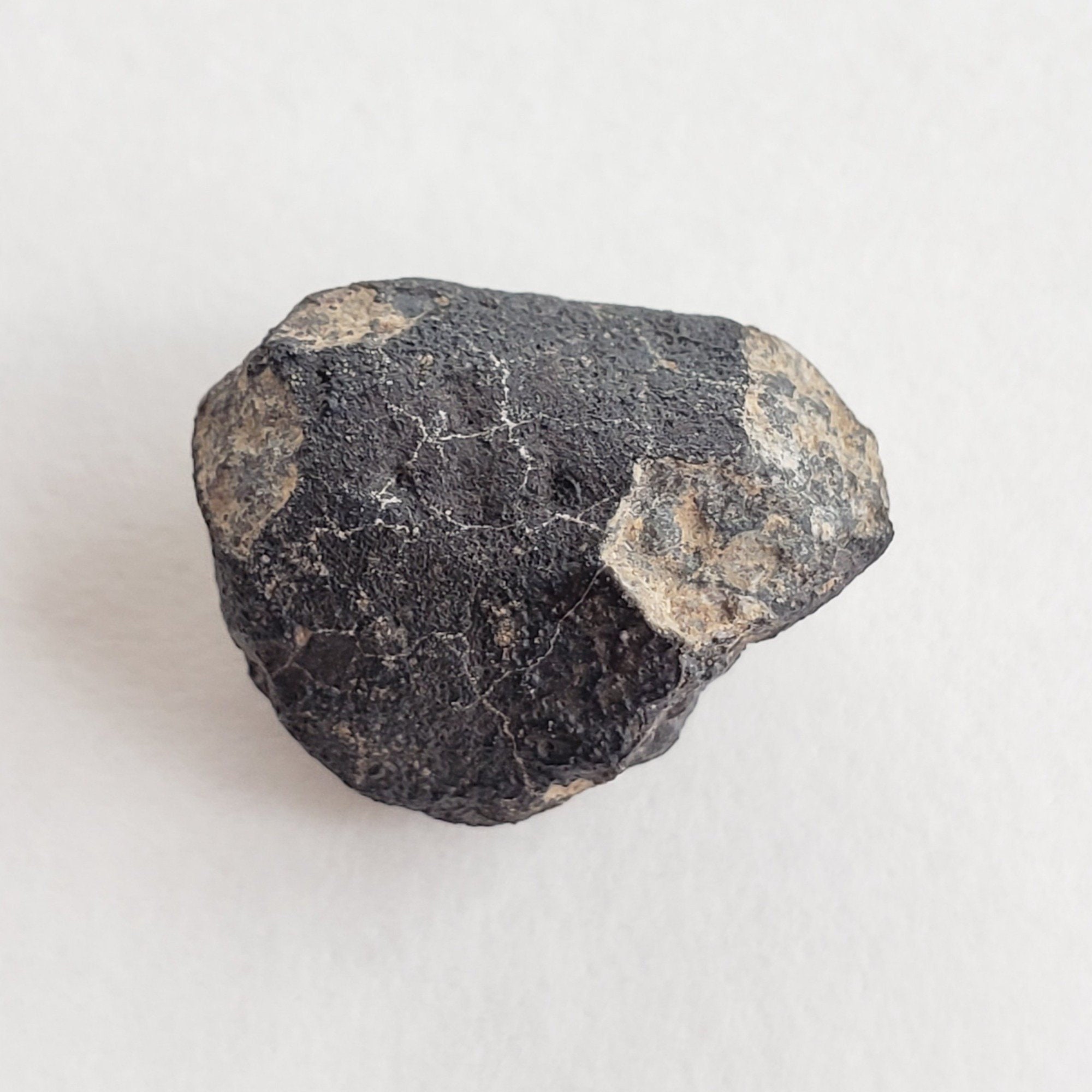 Allende Meteorite for sale | Only 2 left at -60%