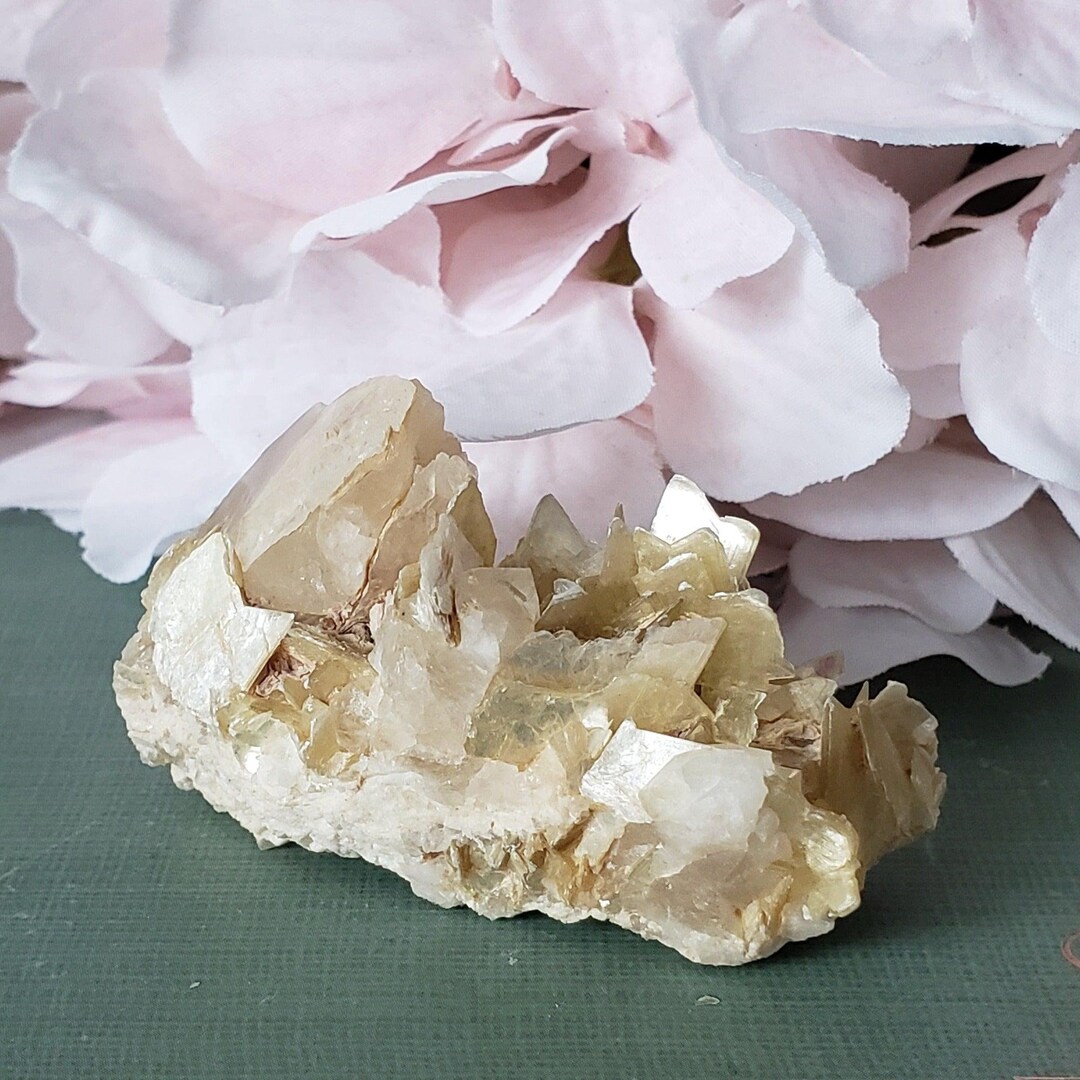 Star Mica Metamorphic Rock With Quartz 38.7g Muscovite Brazil - Etsy