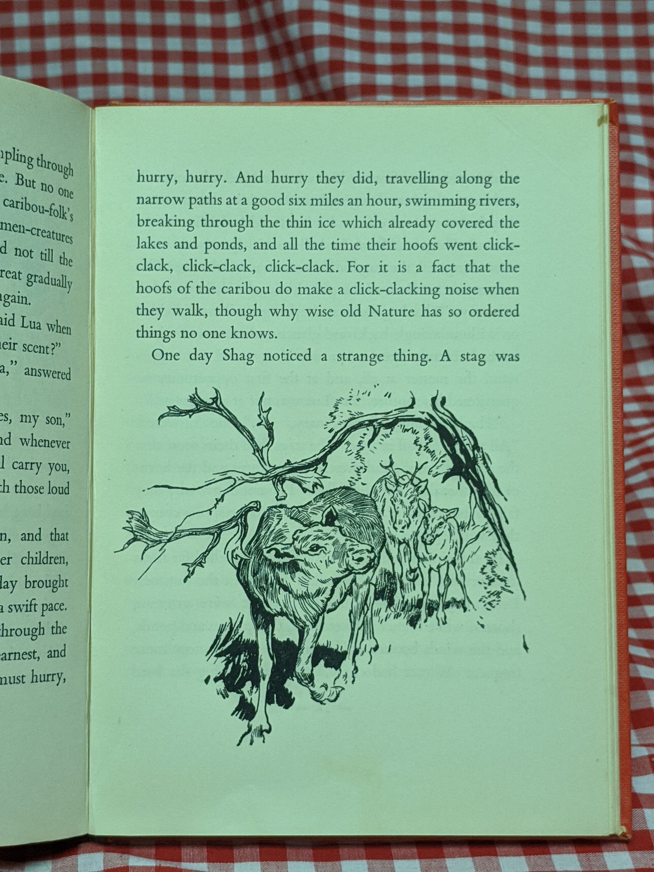 Vintage Wildlife in Canada by C. Bernard Rutley 1950 - Etsy