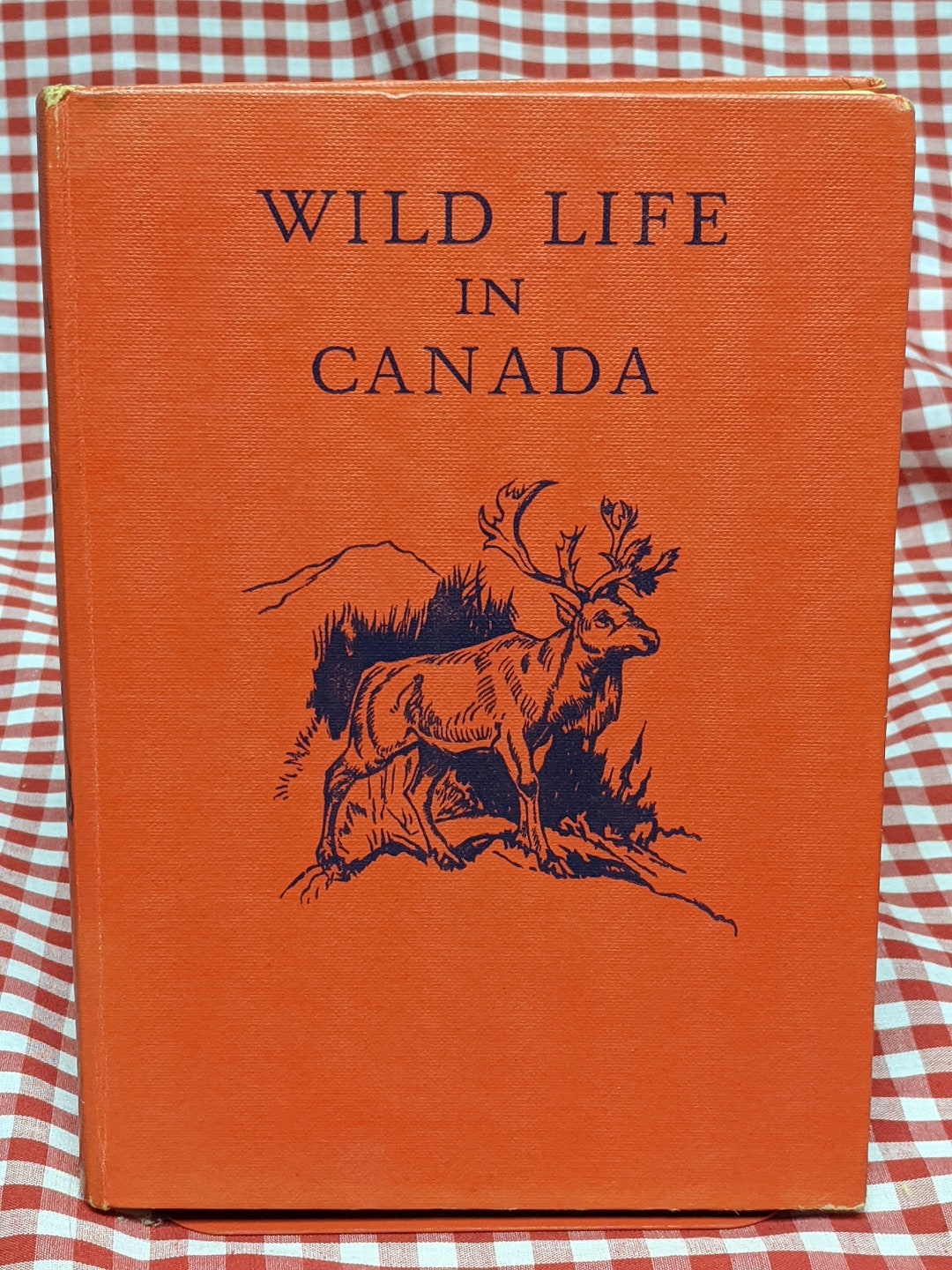 Vintage Wildlife in Canada by C. Bernard Rutley 1950 - Etsy