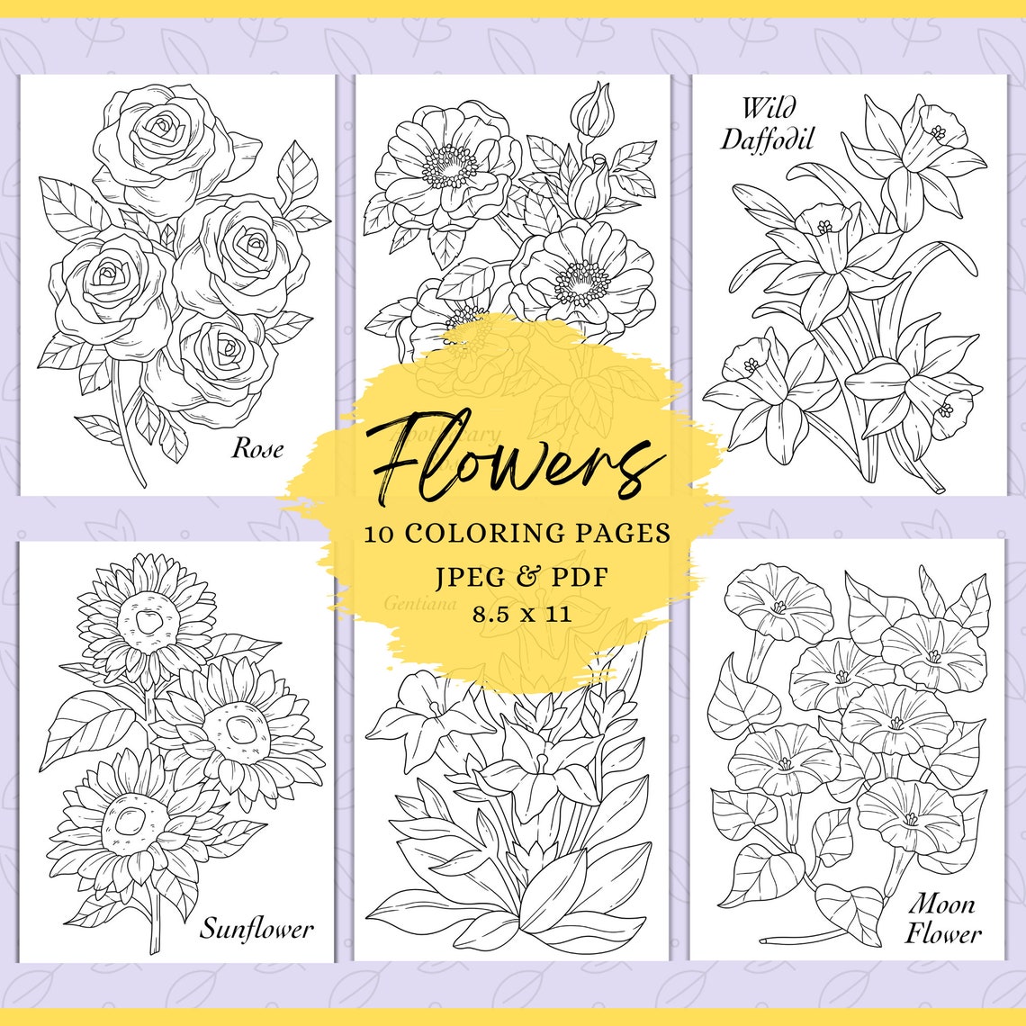 Flowers Coloring Pages: Botanical Illustrations for Adults (PDF) - Etsy