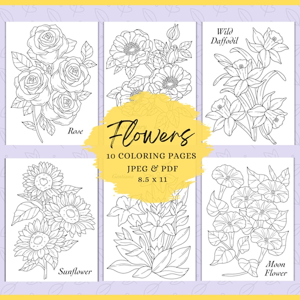 Names of Flowers Coloring - Etsy